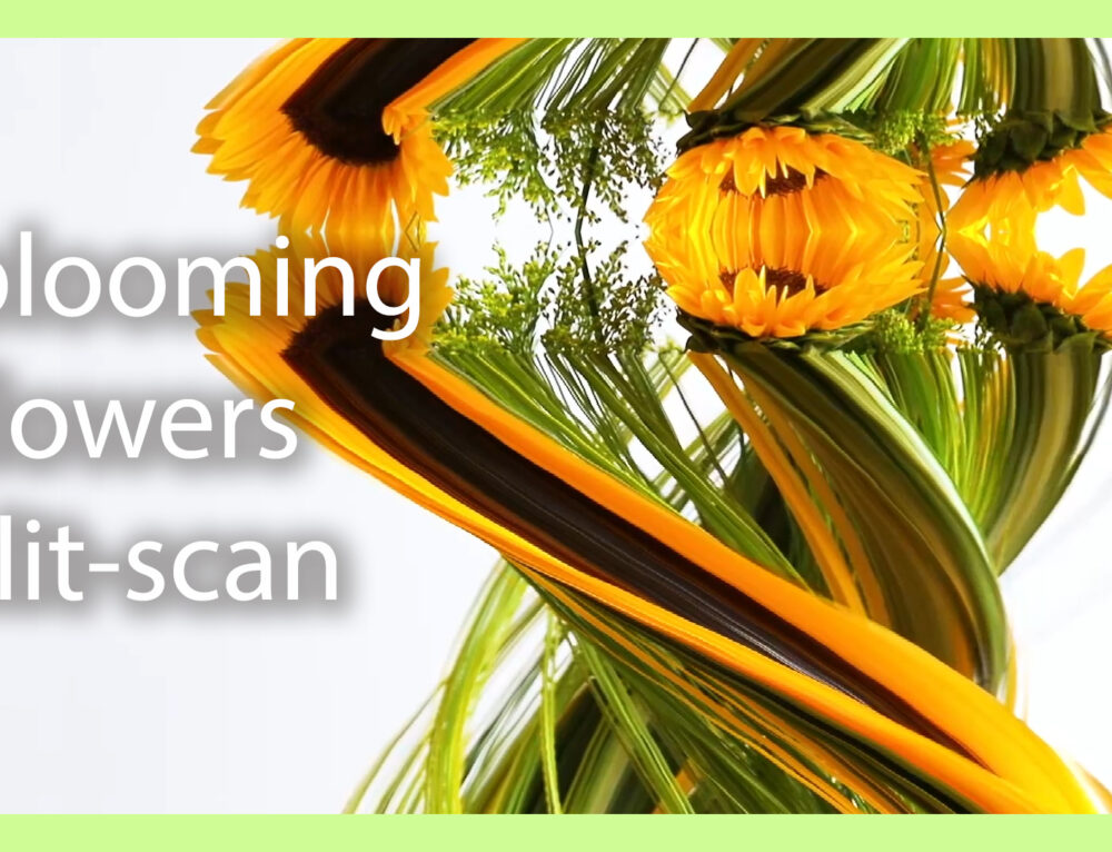 LIDAR iPhone 12 Pro After Effects - Onomatopoetix